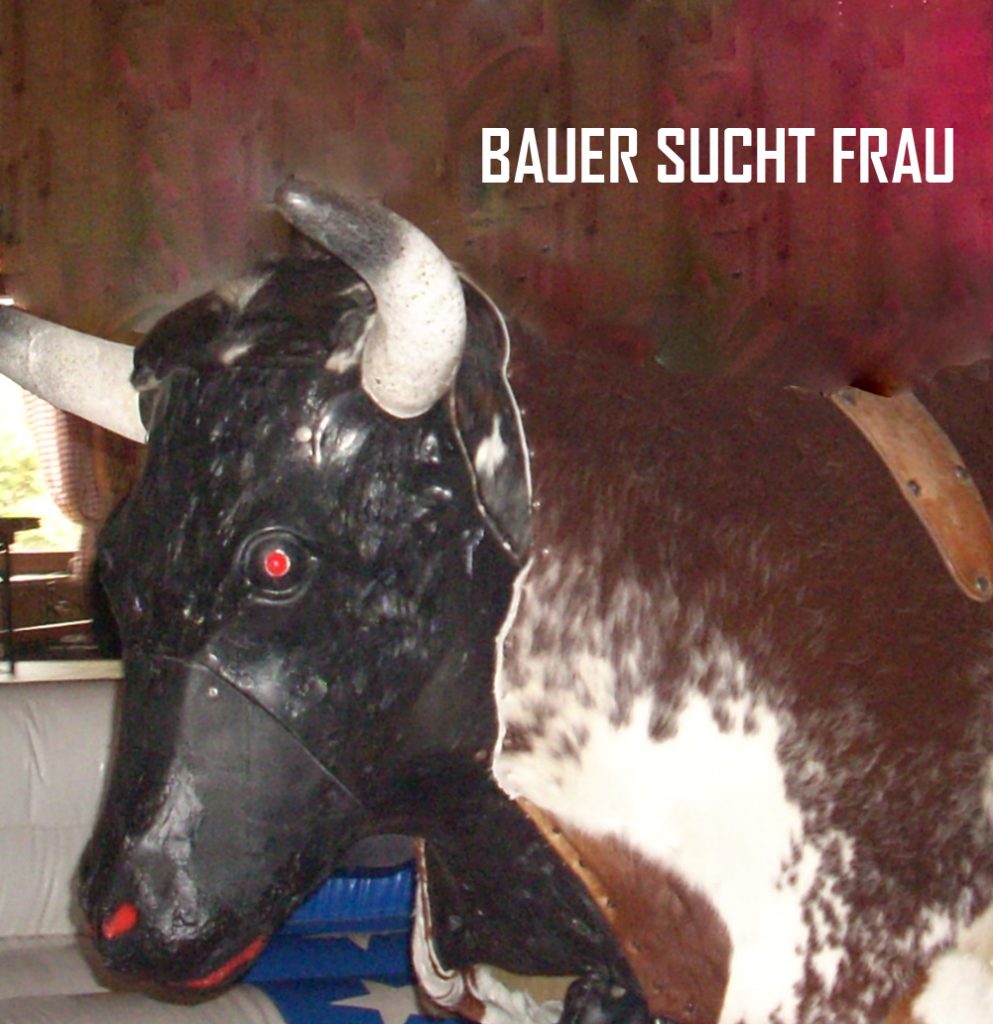 Bullenreiten bei "Bauer sucht Frau" - hupfburg-salzburg